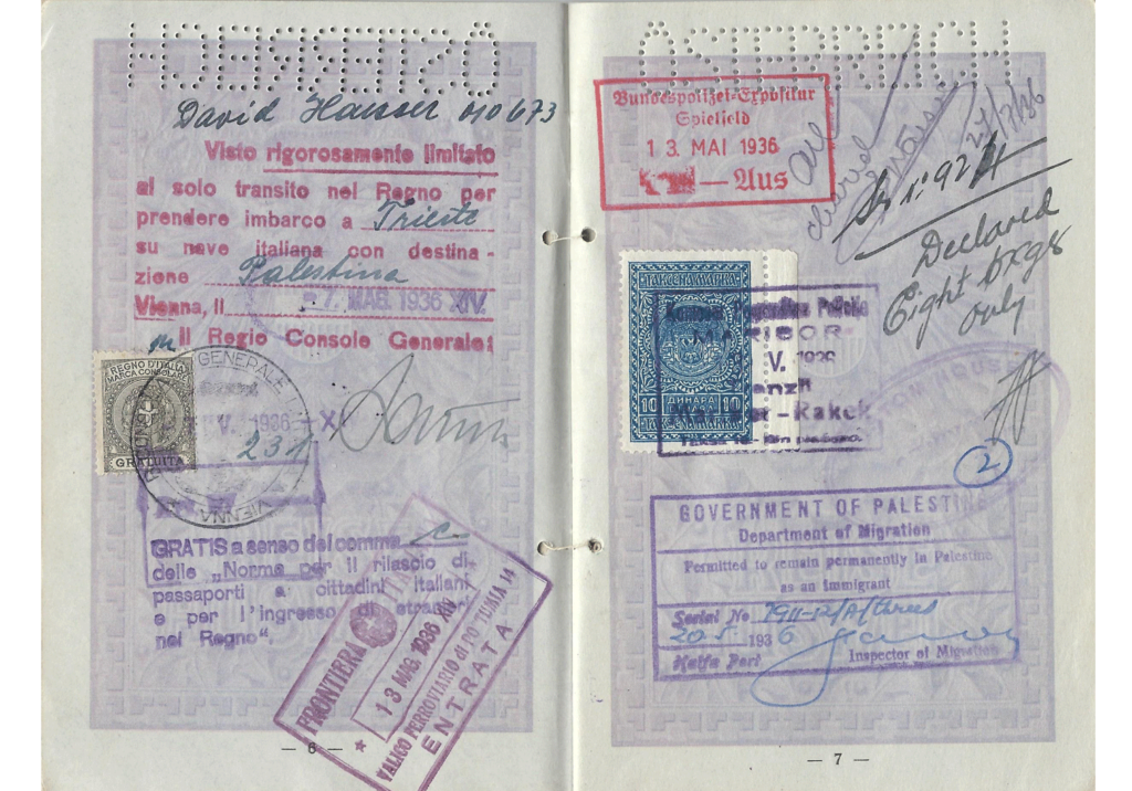 Rare pre-Anschluss stateless passport - Our Passports